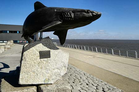 Digital Camera pictures - Kingston upon Hull