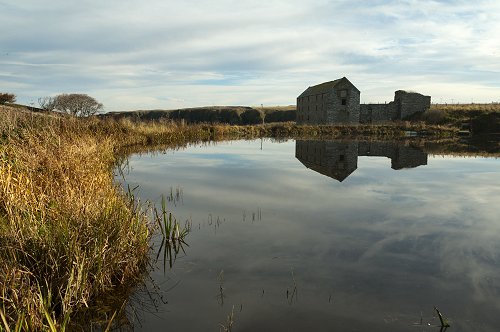 Digital Camera pictures - The Girnal, Ham, Caithness, Scotland.