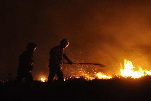 Digital Camera pictures - Airor, Knoydart. Scotland