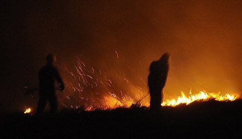 Digital Camera pictures - Airor, Knoydart. Scotland